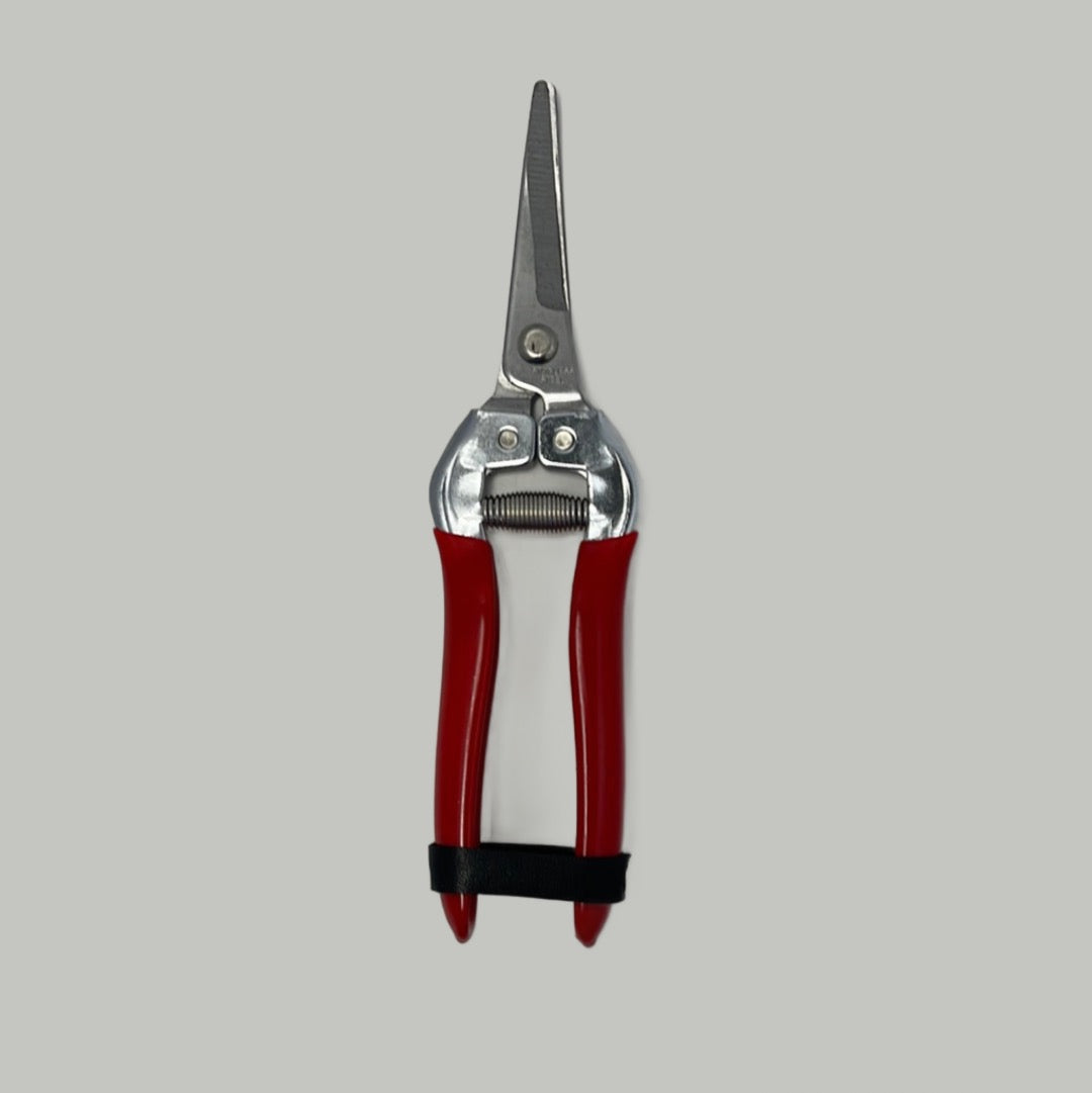 Bent Pruning Clippers – Sunrise Tool Supplies
